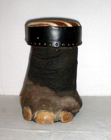 11: Elephant Foot Table with Zebra skin cover - Nov 14, 2004 | Ron ...