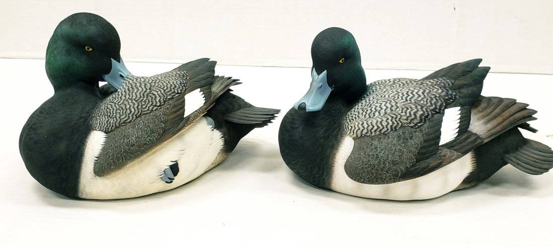 Ducks Unlimited Decoys Jett Brunett Greater Scaup