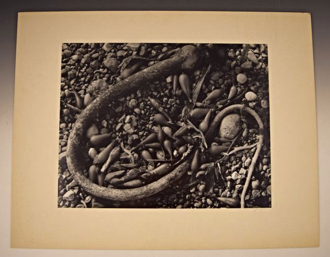 Ansel Adams Signed Original Photograph