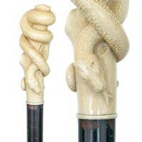 English Ivory Snakes