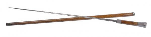 Silver Sword Cane