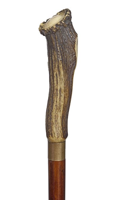 148. Stag horn Hunting Cane -Ca. 1890-Straight stag hor