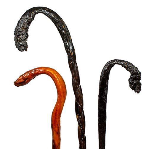 31. Three Bull Penis Canes