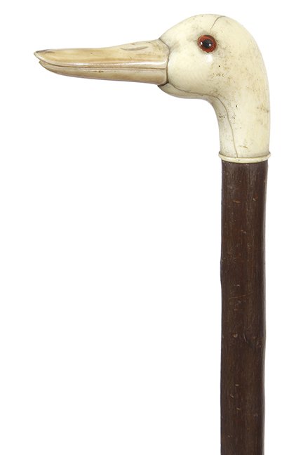 36. Ivory Duck Cane Ca. 1880 A Carved Ivory Duck Head