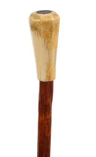 Whale's Tooth Nautical Cane