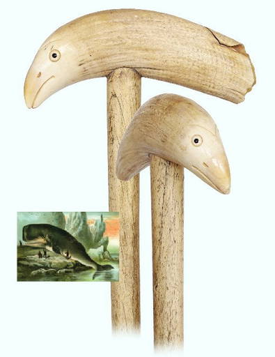 Nauticall Whale Cane