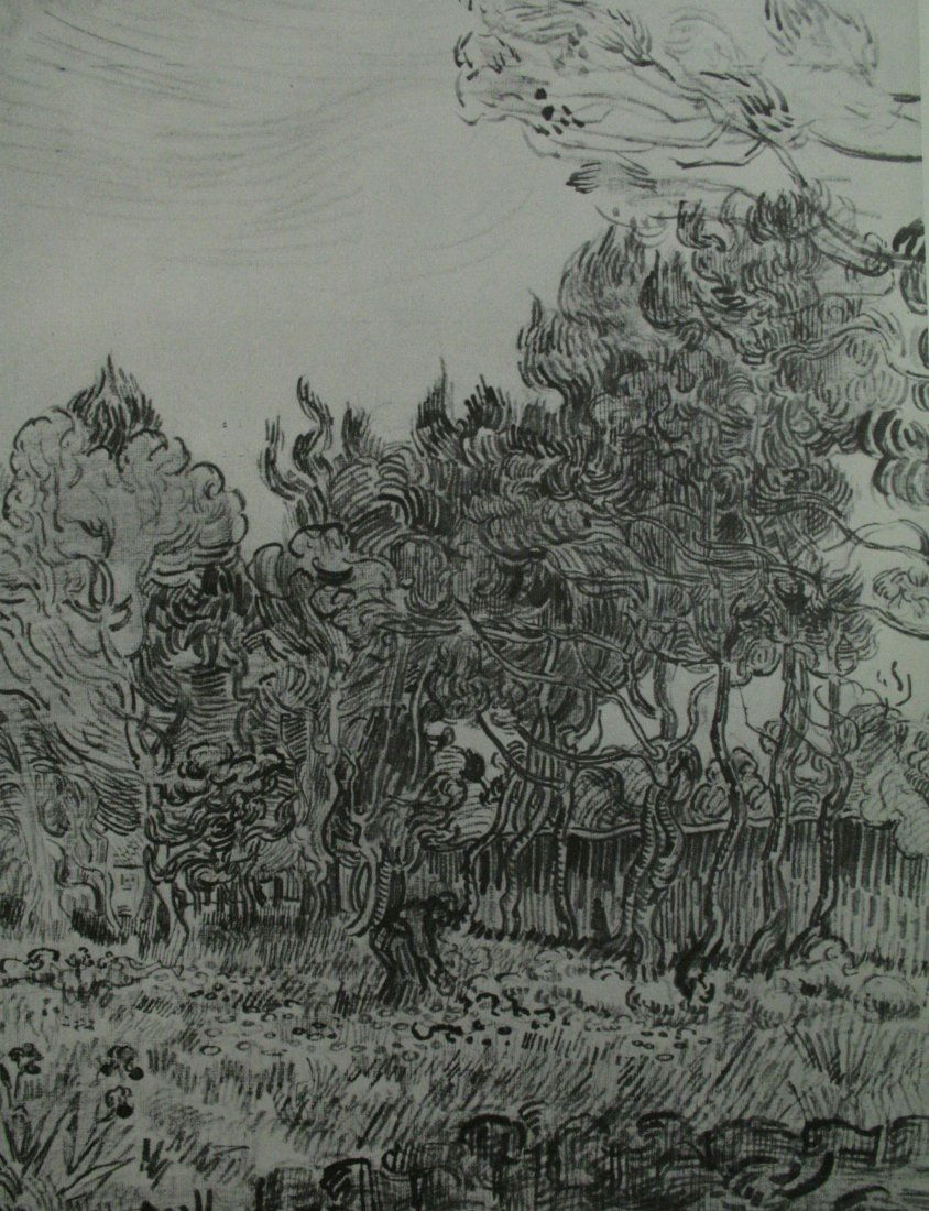 Vincent Van Gogh, Vintage Lithograph