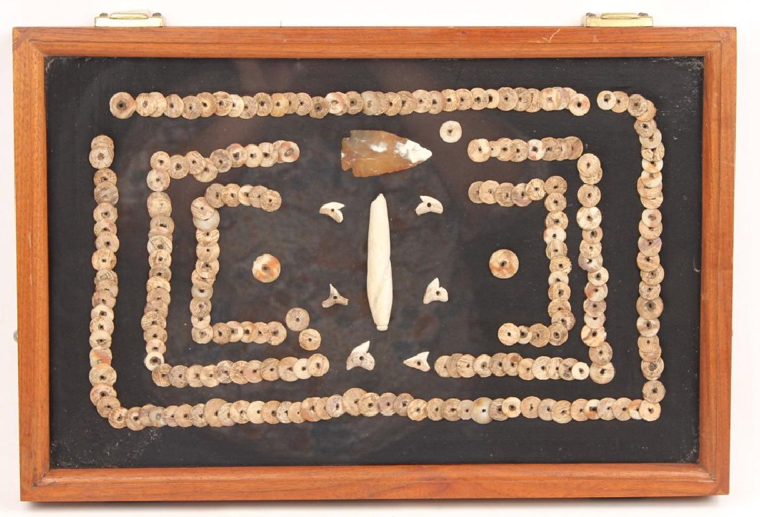 CASED COLLECTION CALUSA INDIAN SHELLS & ARTIFACTS