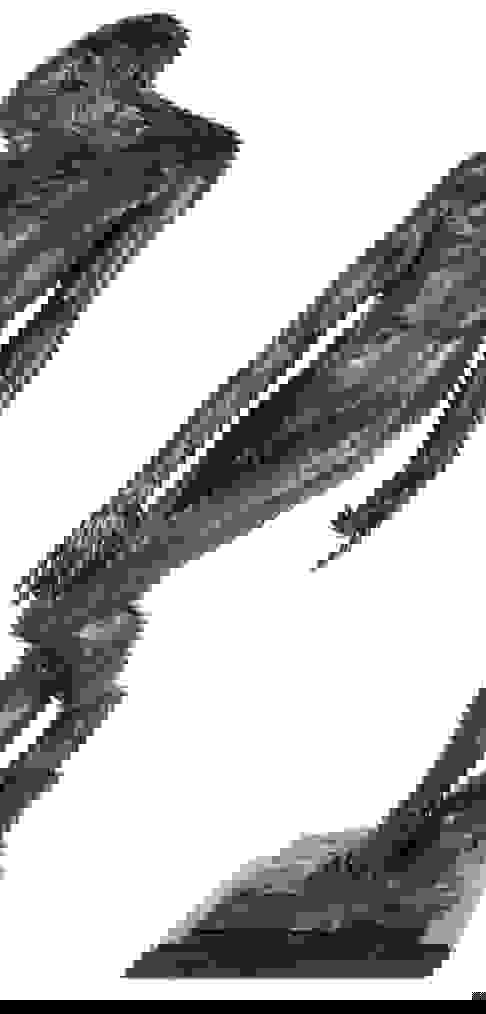 Auguste Rodin Bronze Statue Of Adam After Auction