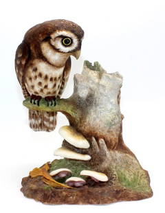 Boehm Owl