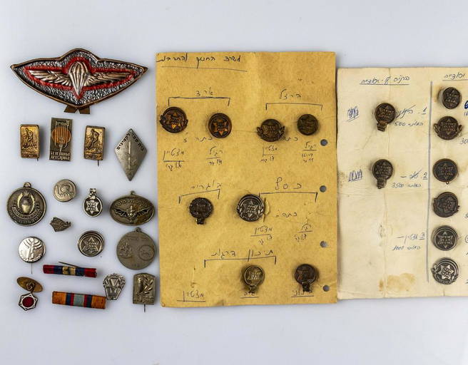 Israeli Pins And Medals