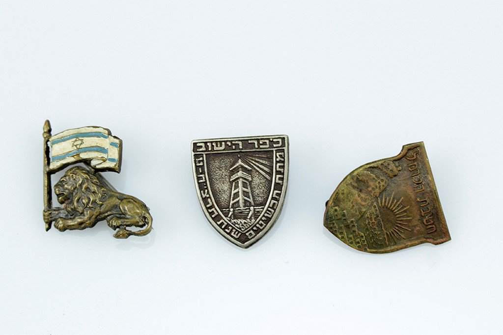 Israel And Jewish Palestine Lapel Pins