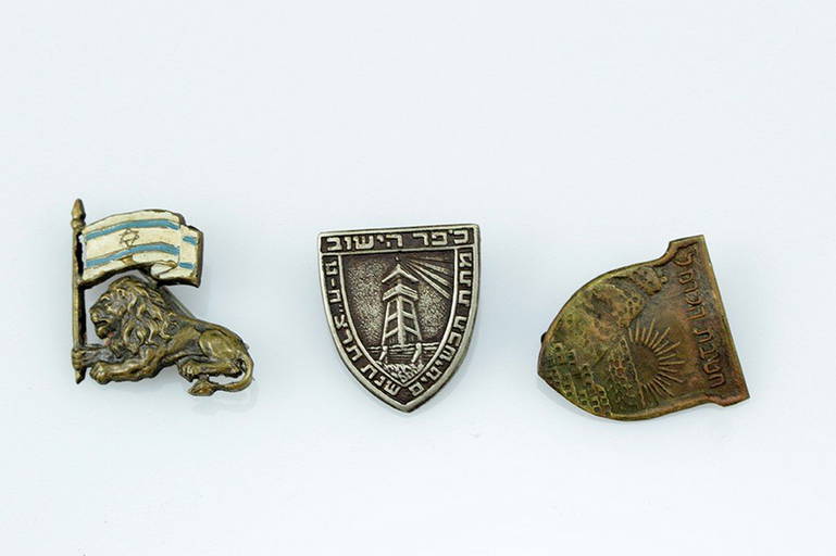 Israel And Jewish Palestine Lapel Pins