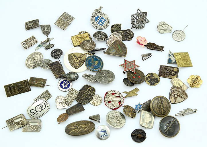 Lot Of Israeli Pins And Symbols