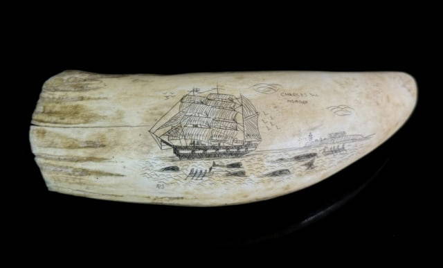 Antique Scrimshaw Whales Tooth, Charles Morgan Auction
