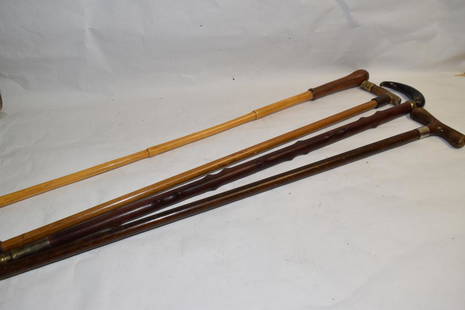 Group Of Walking Canes.