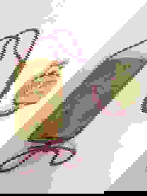 19th C. Japanese Maki-e Inro Box Auction