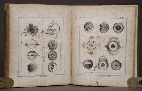1832 Surgical Anatomy Of The Arteries