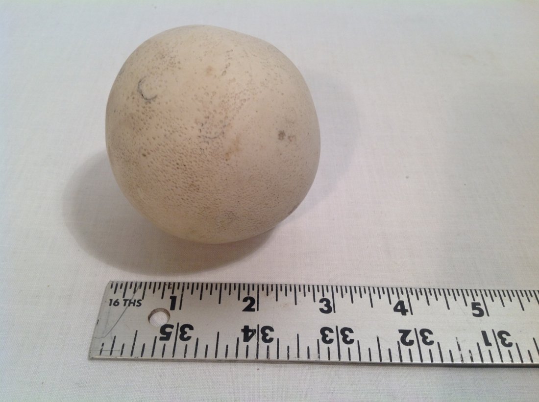 American Indian Stone Game Ball