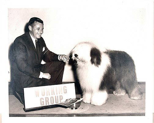 Evelyn Shafer, Working Group.