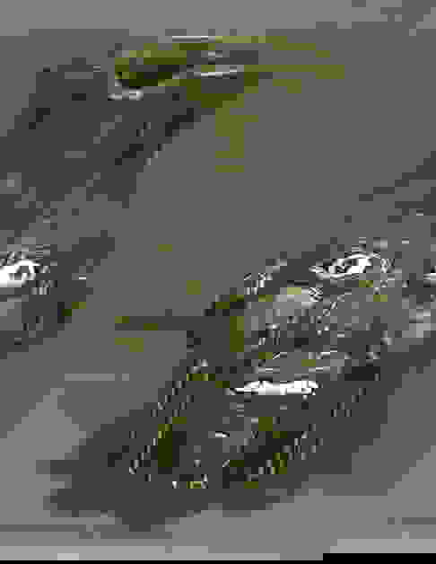 Harold Hewell And Grace Nell Hewell. Father/daughter Very Large Face ...