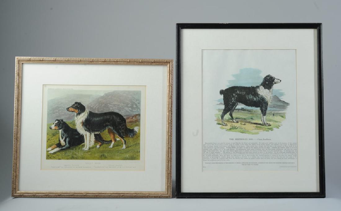 Two Antique Dog Lithographs