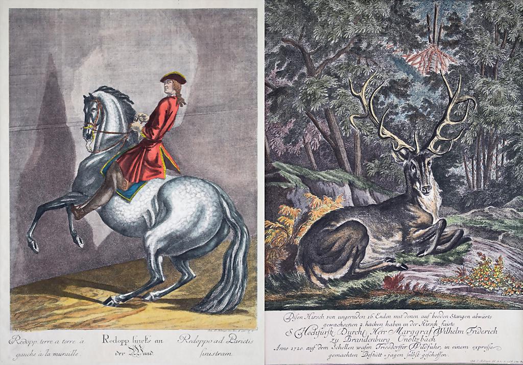 Johann Elias Ridinger (1698 1767), 2 Stiche / 2