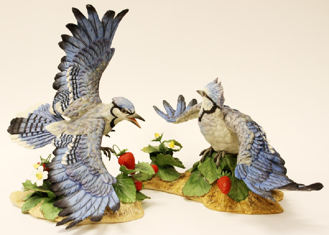 BOEHM LIMITED EDITION PORCELAIN BIRD SCULPTURE