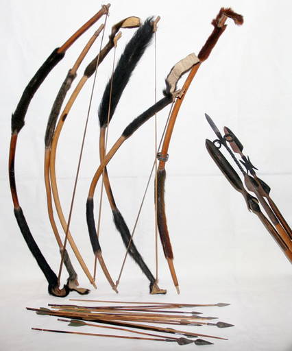 Pygmy Bows, Metal Spear Points, Poison Arrows