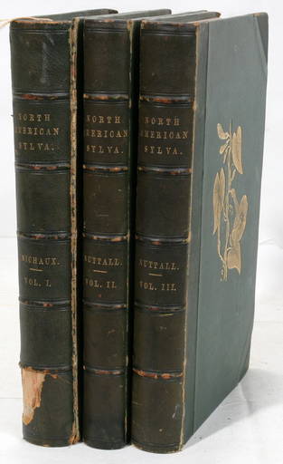 The North American Sylva Andrew Michaux