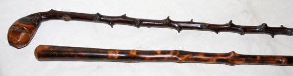 Knotty & Thorny Wood Walking Sticks, C. 1880,