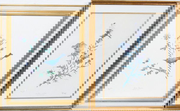 090392: RAY HARM, LITHOGRAPHS, TWO, 'INDIGO BUNTING'
