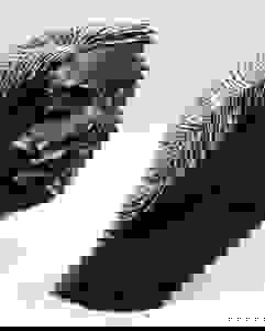 090339: Frank Schirman Black Coral Sculpture, Female