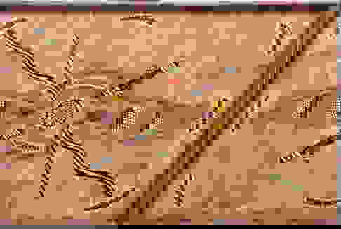 Barney Daniels Tjungurrayi (australian, Luritja Tribe) Acrylic On ...