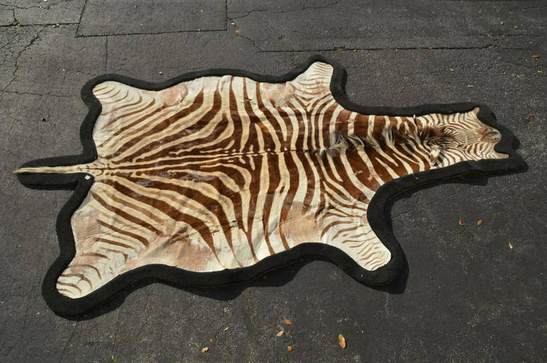 Zebra Rug, Custom Wool Broadloom To Surround Skin