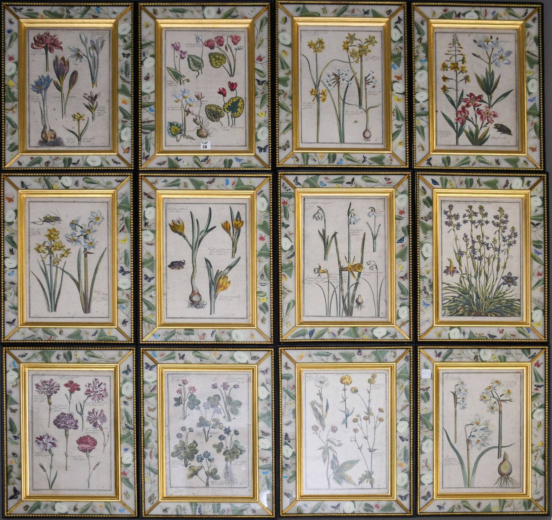 A Set Of Twelve Hand-colored Botanical Engravings From Daniel Rabel’s ...