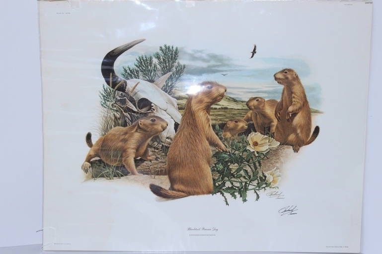 2 Wildlife Prints By Listed Artist Richard Timms