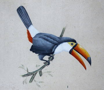 Lenny Bruce Signed Biography