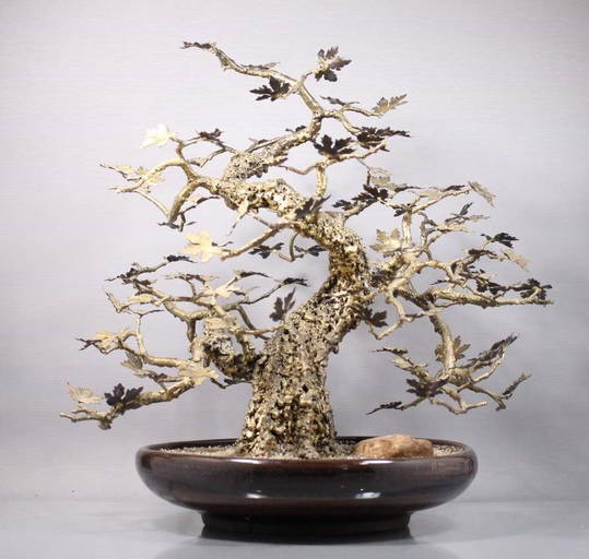 P. Marshall, Mid Century Bronze Bonsai Tree Sculpture