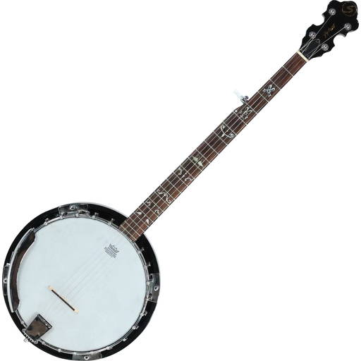 Greg Bennett Design 5 String Banjo
