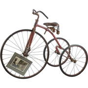 Colson Fairy Tricycle