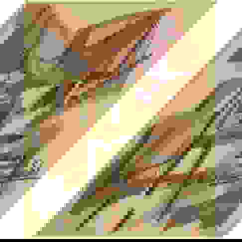 Myra Kyle, 20th C. American, Oil Painting On Canvas, Abstract, Signed ...