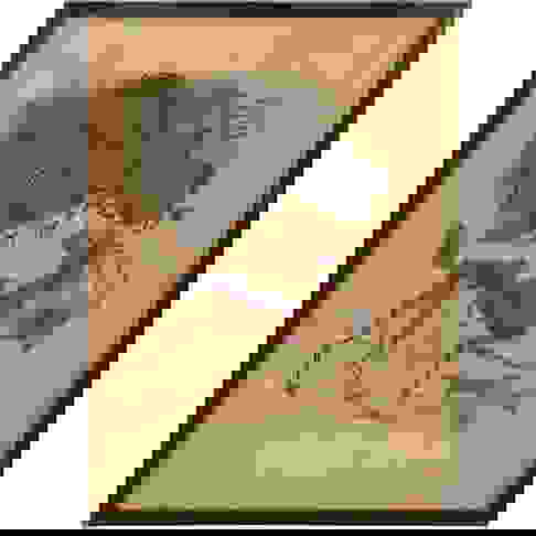 Joseph Low (american, 1911-2007). "a Fox And A Sick Lion". Original ...