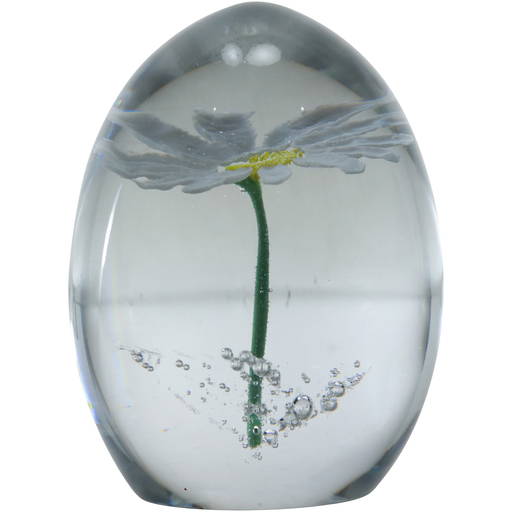 Signed Daum France Egg Paperweight With Internal Daisy 3 In. Height X 2 ...