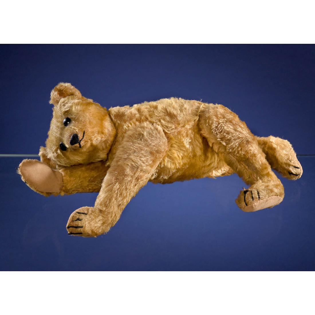 Rare Steiff PB28 Rod Bear, c. 1903/1904