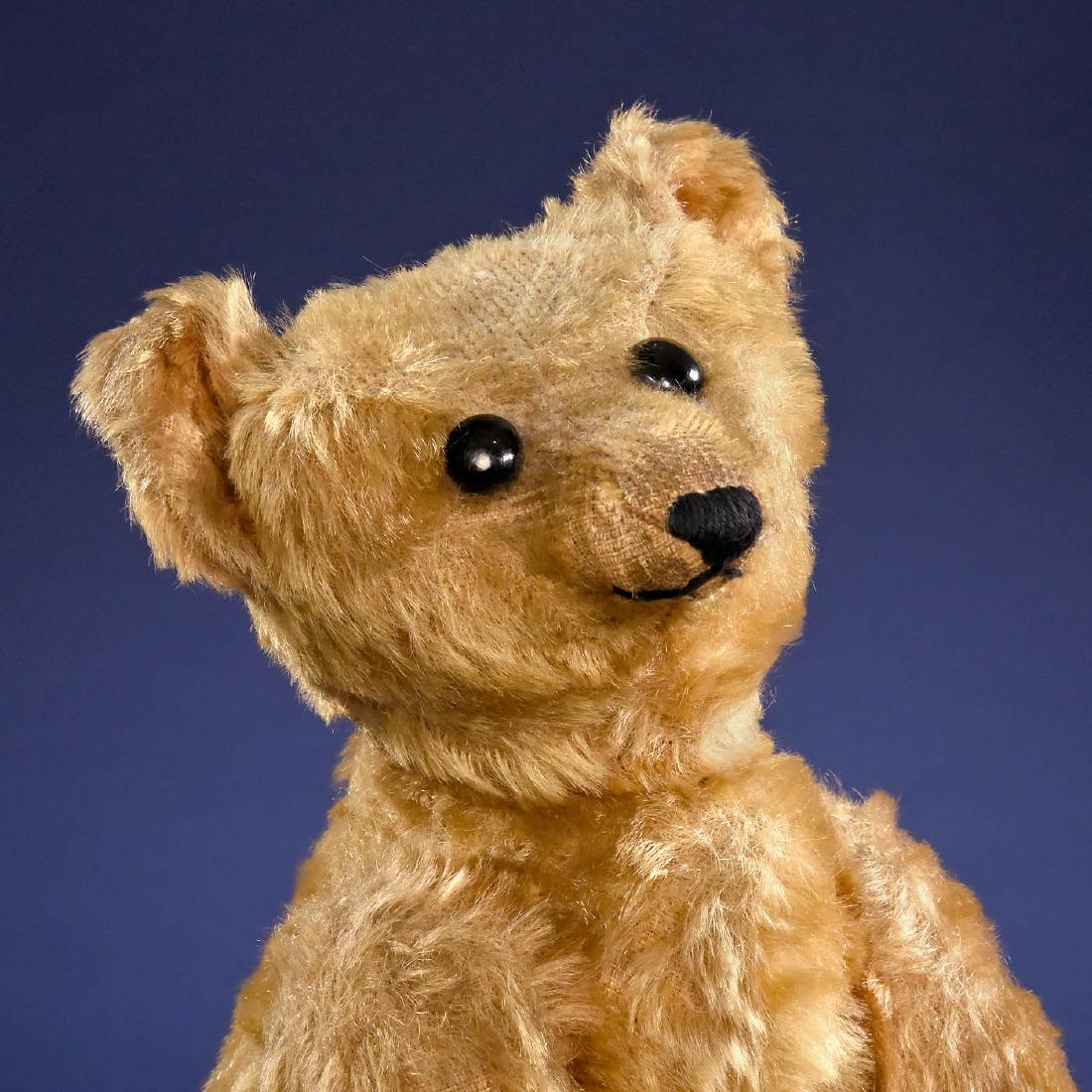 Rare Steiff PB28 Rod Bear, c. 1903/1904