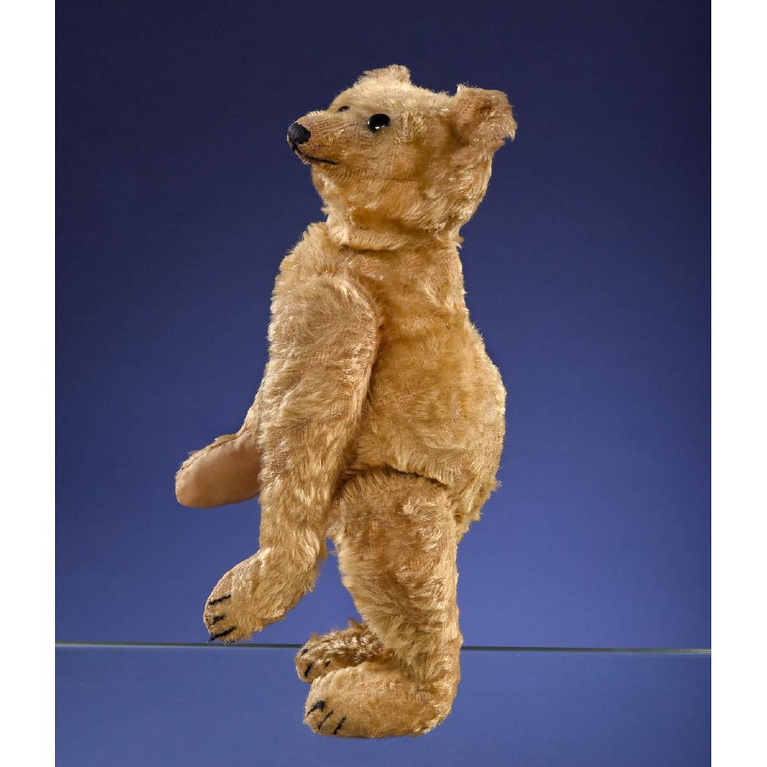 Rare Steiff PB28 Rod Bear, c. 1903/1904