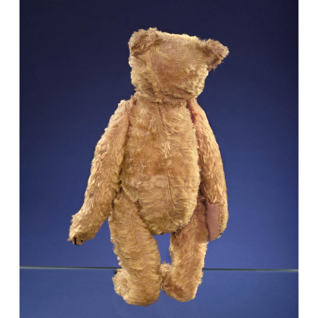 Rare Steiff PB28 Rod Bear, c. 1903/1904