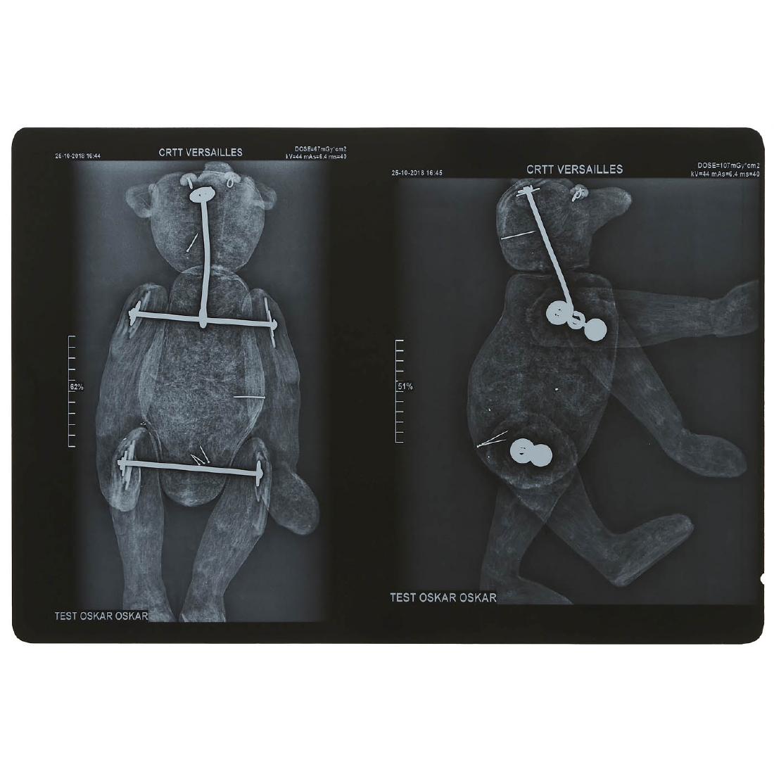 Rare Steiff PB28 Rod Bear, c. 1903/1904