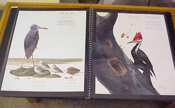 189: RAY HARM LOT BIRD PRINTS, 1963, TWO FRAMED, LOT UN